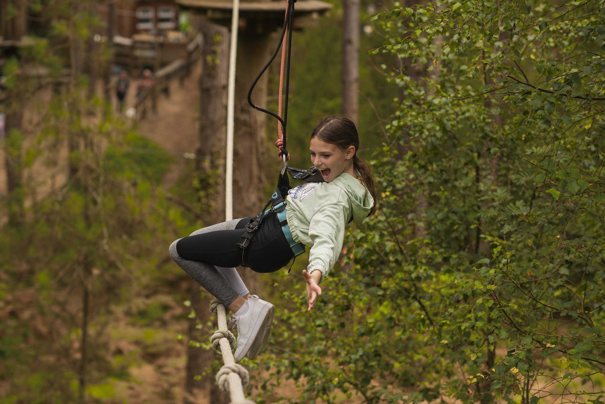 Go Ape Bedgebury | Kent Attractions